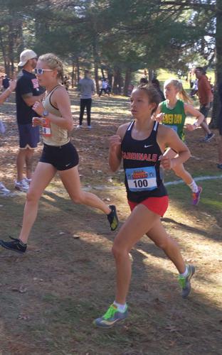 Jonah Marshall, Shaela Elert run at cross country state | Sun Prairie ...