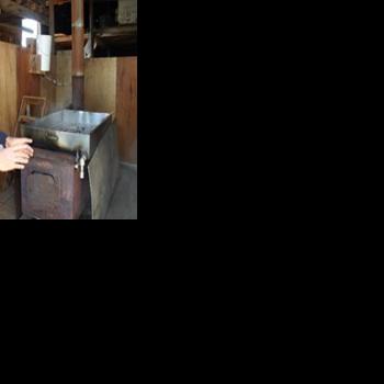 Meet the maple syrup man | News | hngnews.com