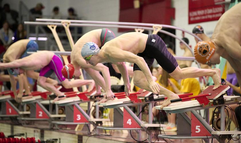 Wolves return to boys swim state meet | Sun Prairie Star | hngnews.com