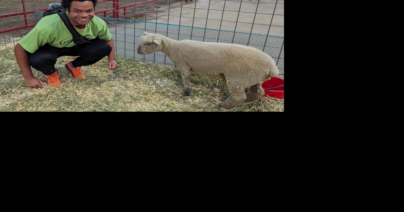 Devin McKnight | Local | hngnews.com