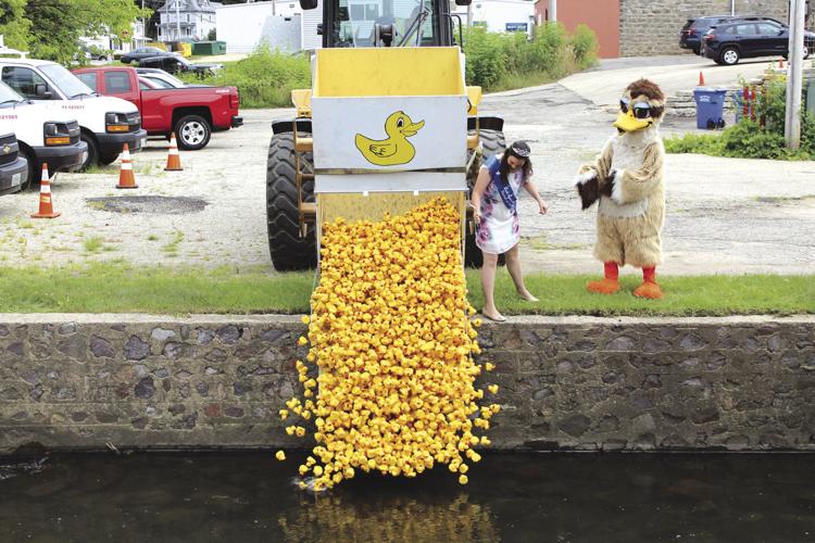 City still planning to celebrate Susie the Duck Day | Enterprise ...