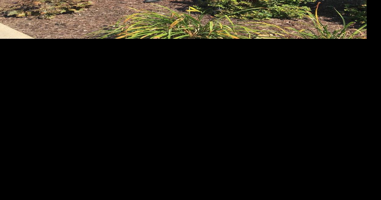 Poynette Presbyterian Church celebrates sesquicentennial | Poynette ...