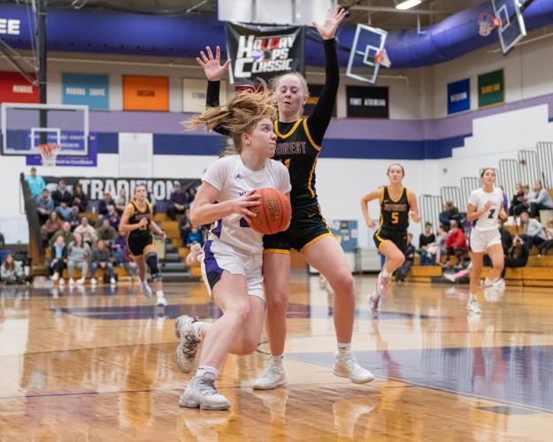 Girls basketball: Warriors knocked off No. 8 ranked DeForest | Sports ...