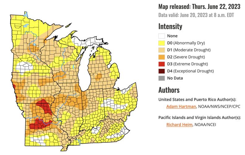 Midwest drought: Corn and soybeans suffer as forecasters expect no ...