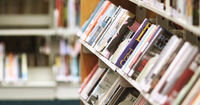 Poynette Library Lynx: Gear up for summer | Poynette Press | hngnews.com