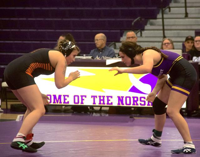 Norskies host quad, take on Muskego Invite | The Star: Sun Prairie ...