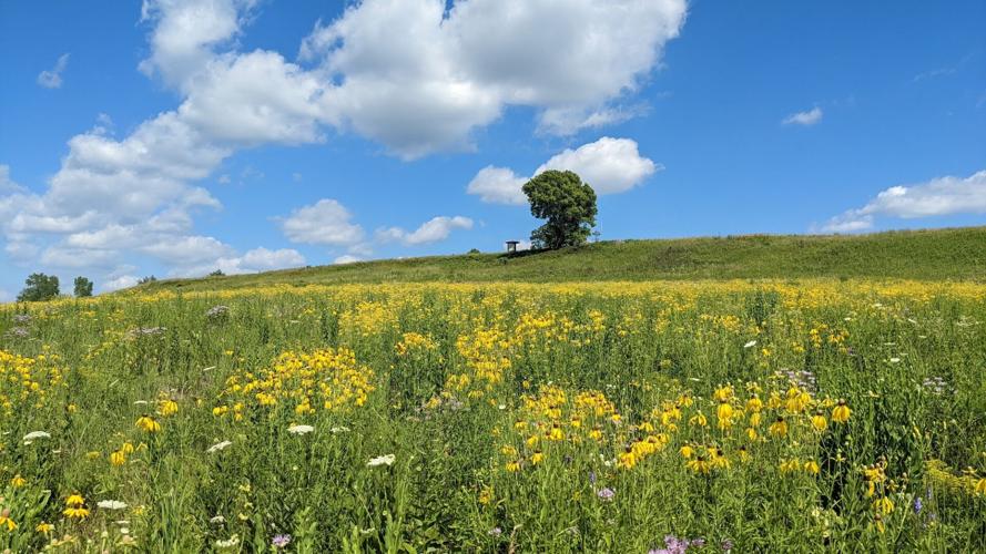 Westport Prairie-inspired poems help connect people to nature | News ...