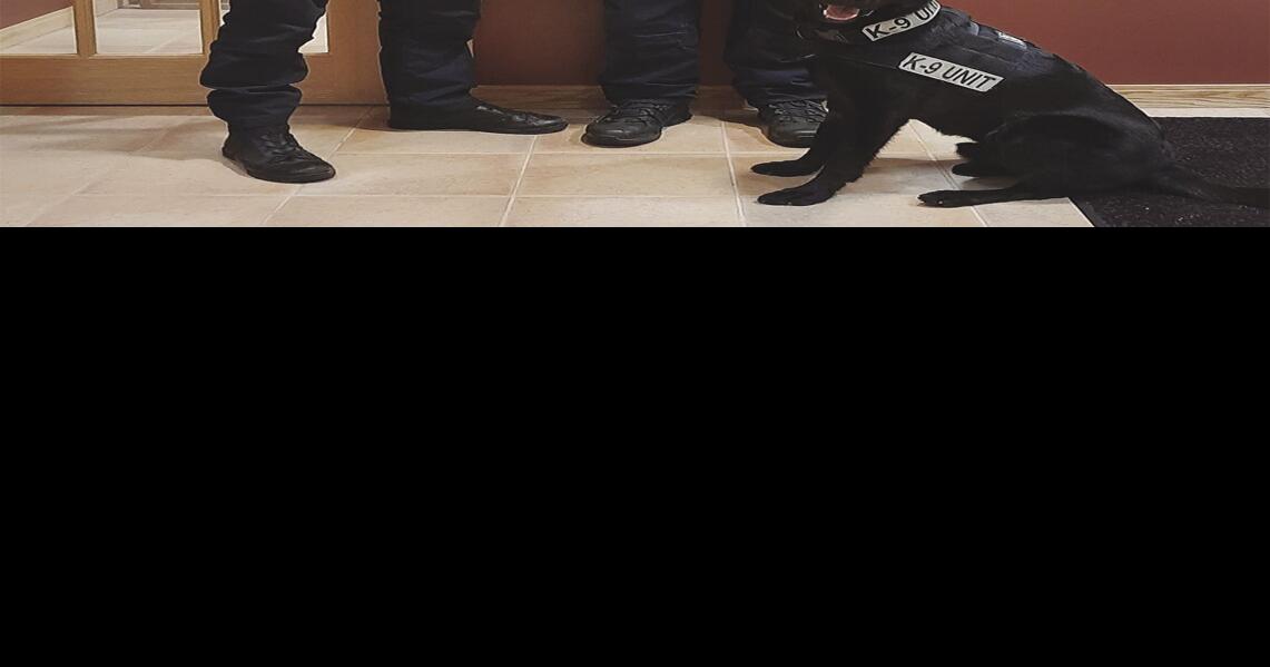 City of Lake Mills Officer Brandon Hanley and K9 Truman complete ...