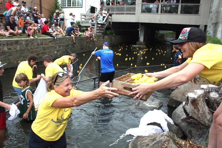 Lodi's Susie the Duck Day 2022 duck race | Local | hngnews.com