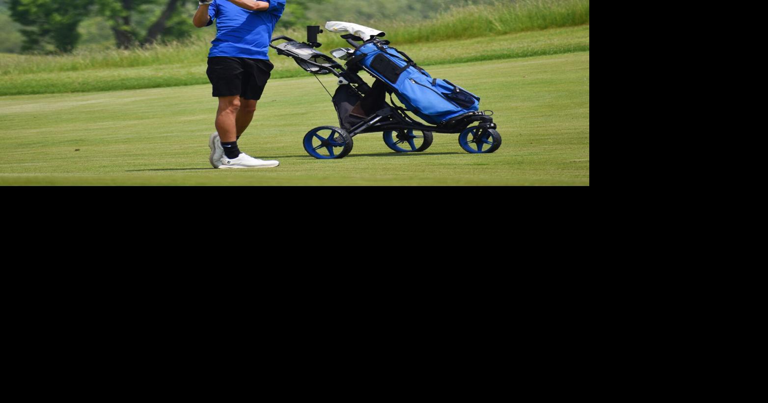 Boys golf: Lodi's Baron takes 7th at state | Sports | hngnews.com