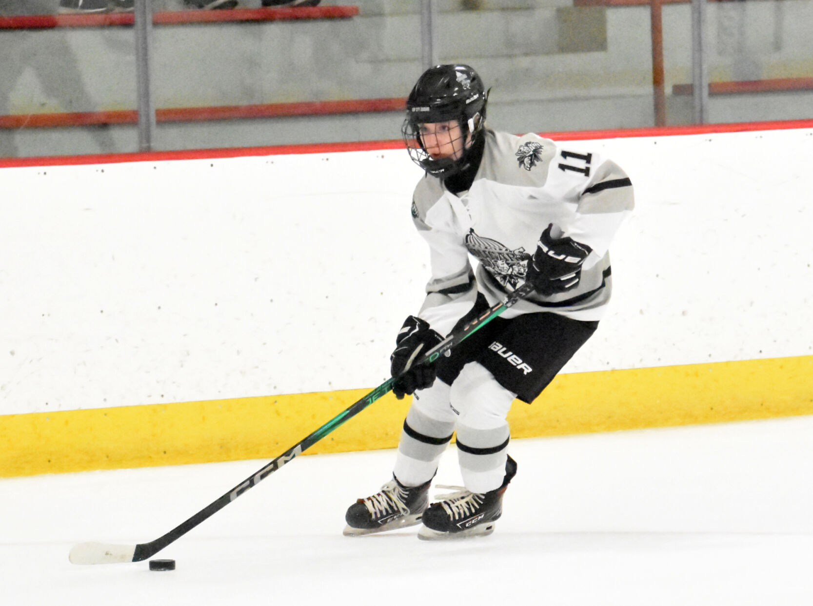 Cap City Cougars returning to state | The Star: Sun Prairie, DeForest ...
