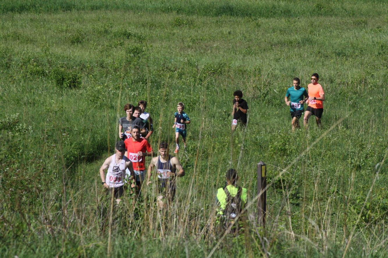 A no-nonsense fun run | News | hngnews.com