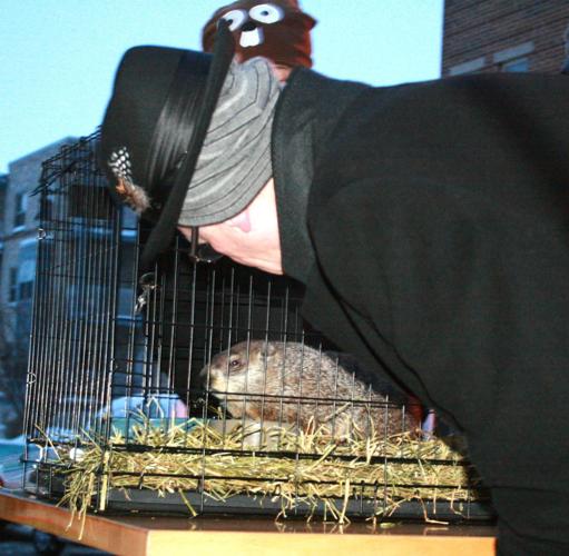 Jimmy tells mayor: Early spring! | News | hngnews.com