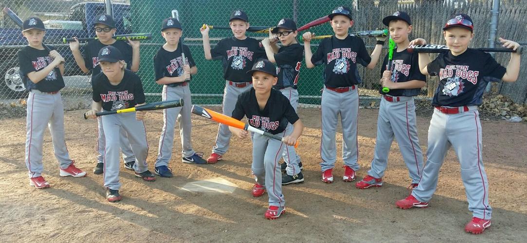 Youth Baseball: Mad Dogs find early success | Baseball | hngnews.com