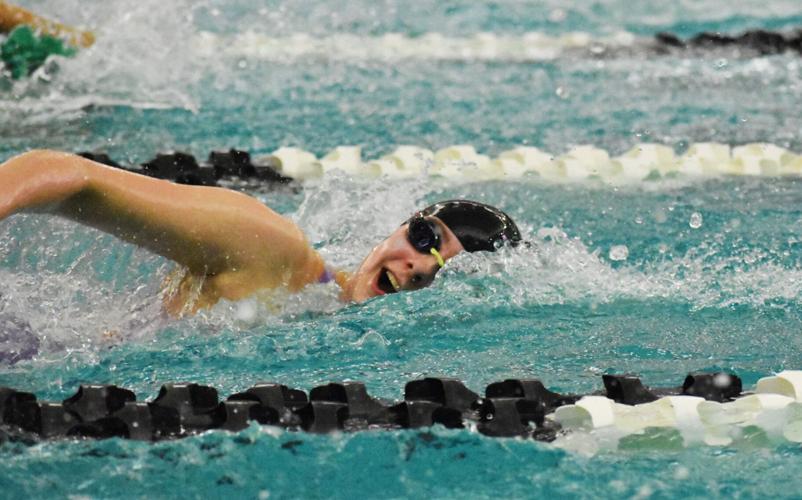 Girls swimming: Schmeiser, relay teams wrap up season at state | Sports ...