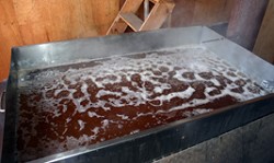 Meet the maple syrup man | News | hngnews.com