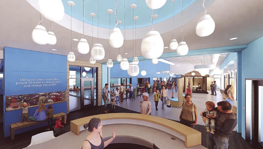 Diventures plans swim school in Pumpkin Patch development | Government ...