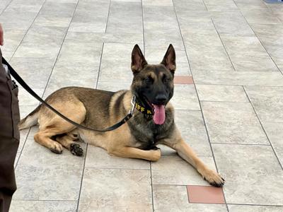 New K9 unit and therapy dog program celebrated at the Dane County ...