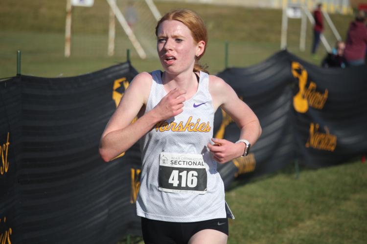 Cross country: Oberg, Bussiere headed to state | Local | hngnews.com