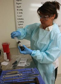 The life of a medical examiner | News | hngnews.com
