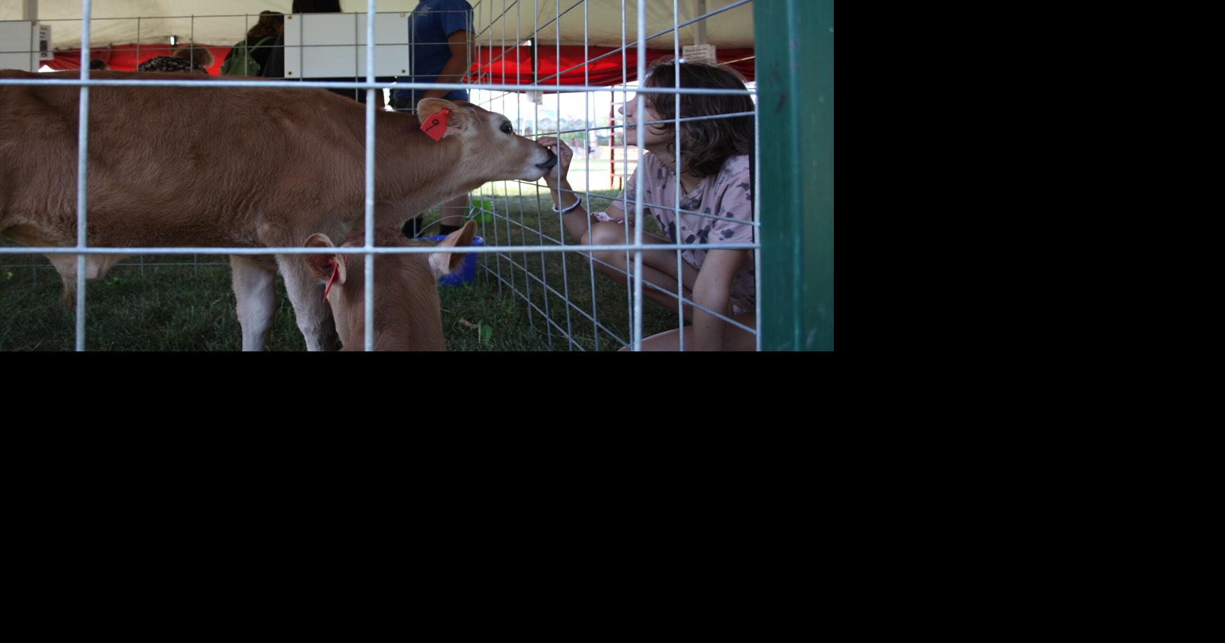 2023 Lodi Agricultural Fair | Local | hngnews.com