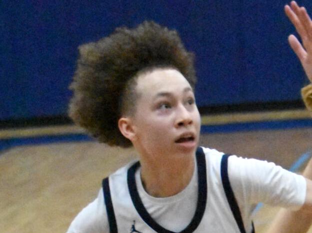 Four Wolves earn girls basketball all-conference honors | The Star: Sun ...