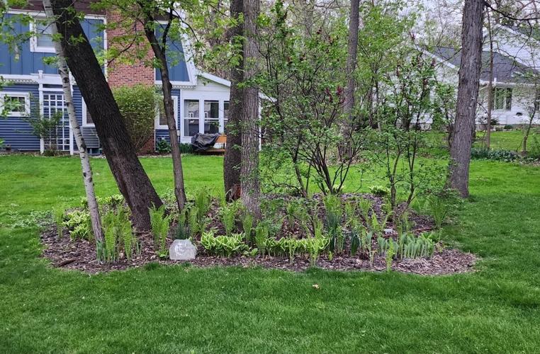 Sun Prairie Garden Club features May Garden of the Month | Arts And ...