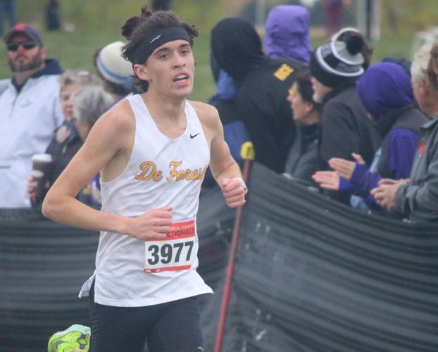 Cross country: Pabon, Tanner headed to state | Sports | hngnews.com