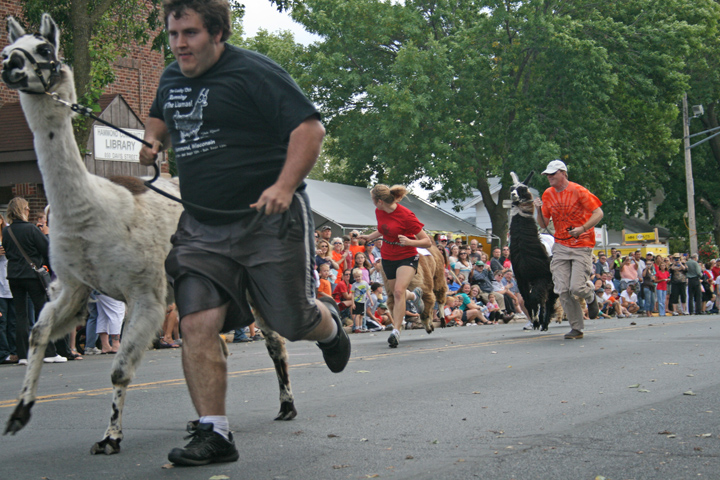 Sun Prairie family to run with llamas | Features | hngnews.com