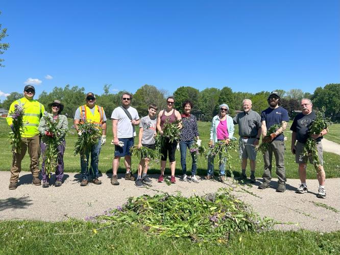 DeForest residents help fight invasive species at Western Green Park ...