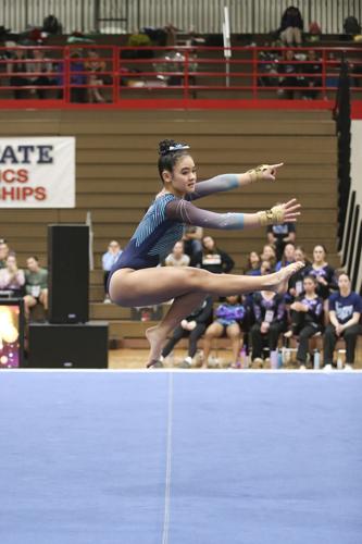 Gymnastics: Lee impresses in state debut | Sports | hngnews.com