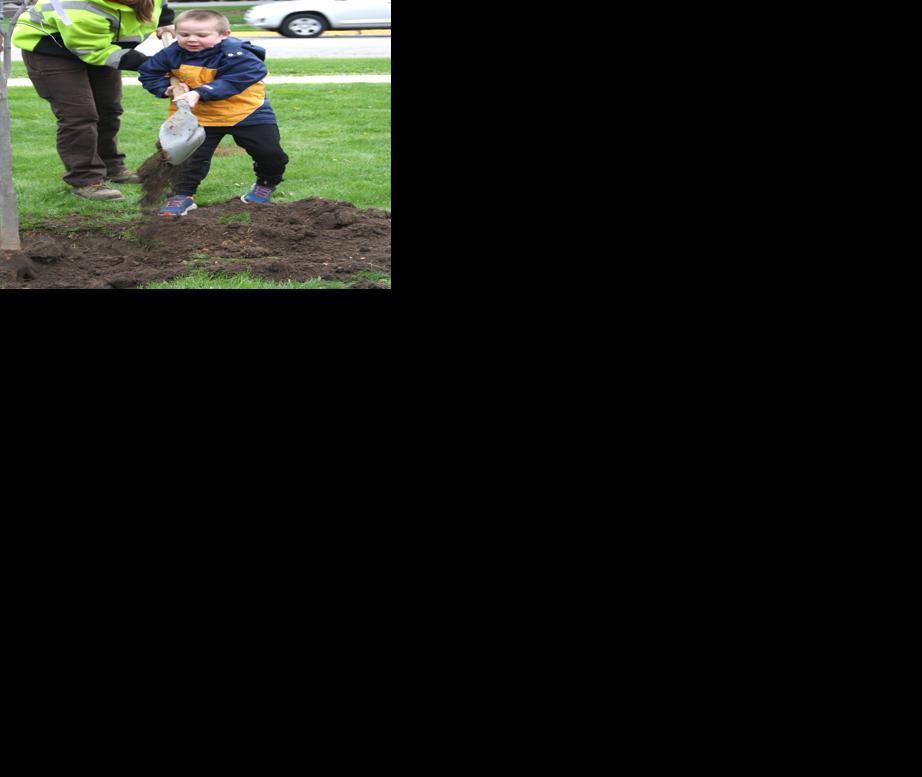 Planting the future: Students join Waunakee parks crew for Arbor Day ...