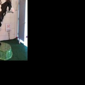 Incredible milking cow coming to Dane County Fair | Local | hngnews.com
