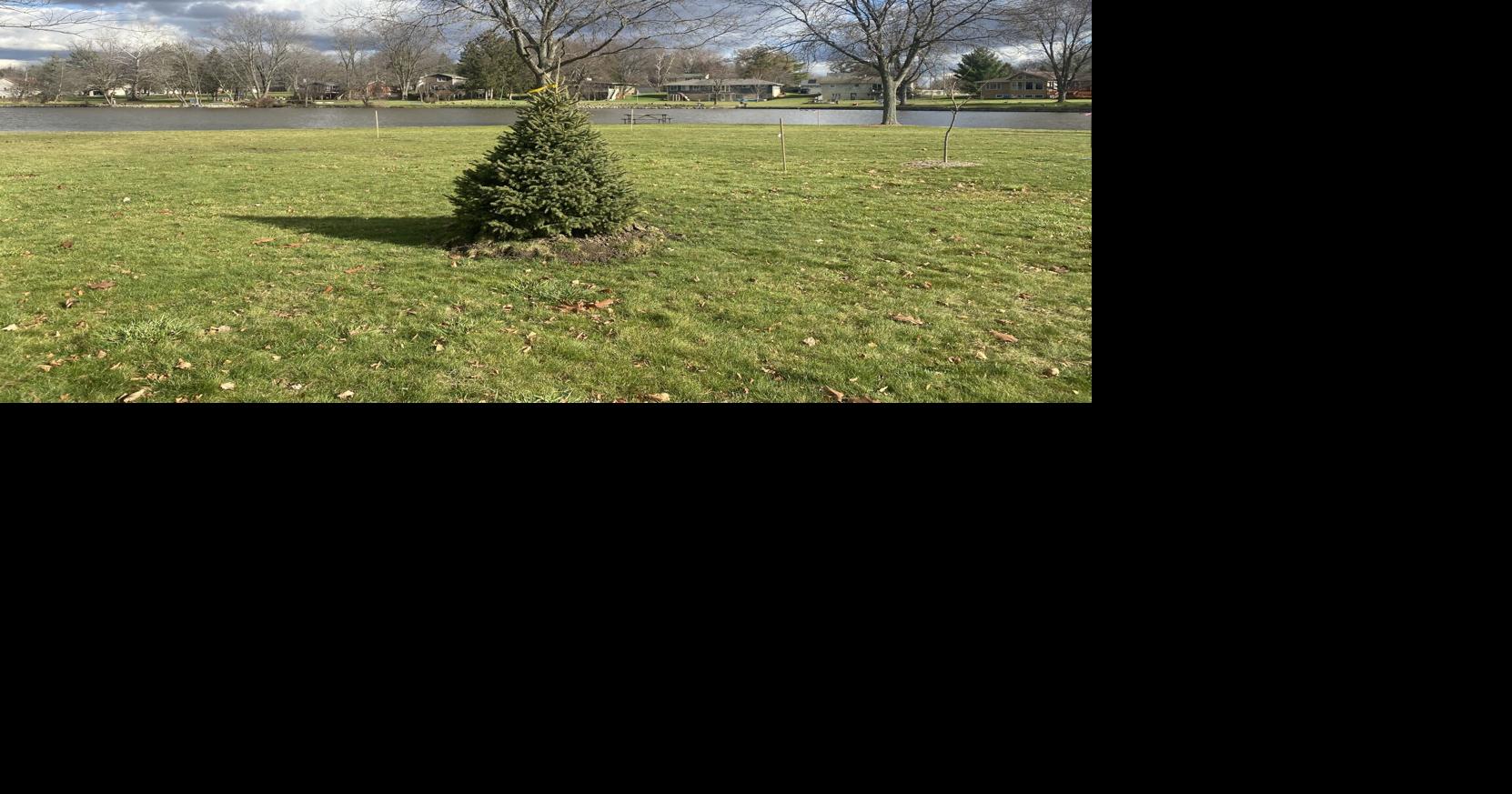 Community tree lighting happening for the first year | Local | hngnews.com
