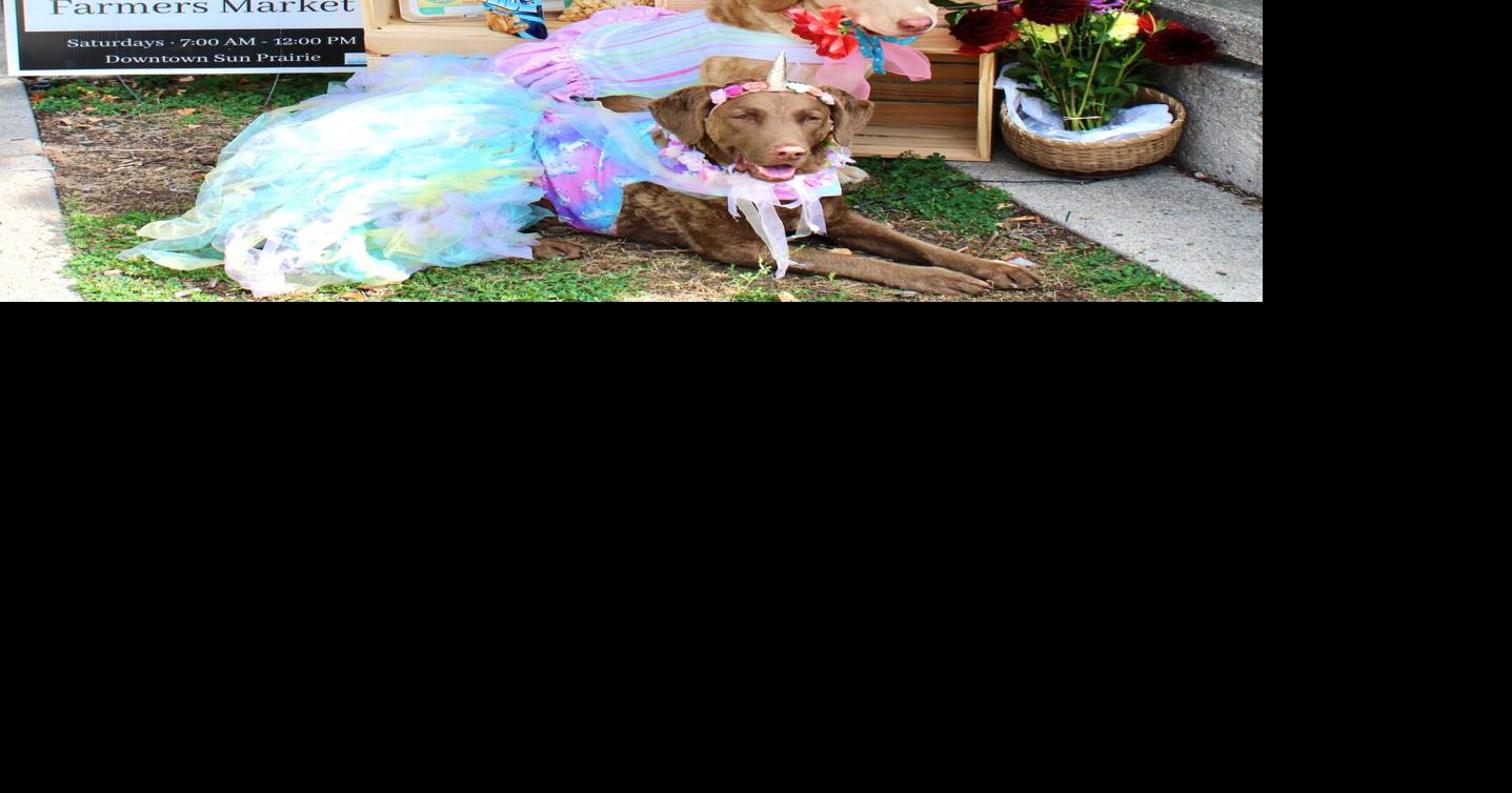 Lodi Enterprise-Poynette Press among APG papers honored at Better ...