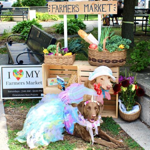 Sun Prairie Farmers Market begins 2023 season on May 6 | Business ...