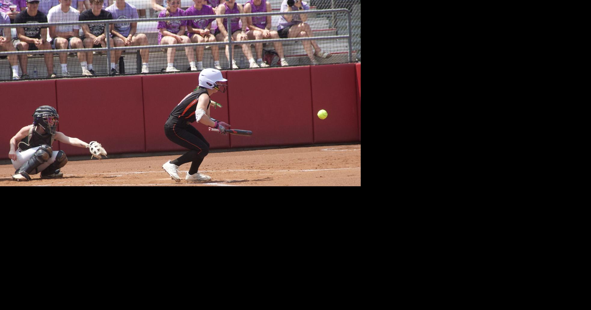 Softball: Poynette wins WIAA Division 3 State Championship | Sports ...