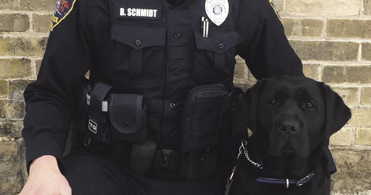 Waunakee Police Officer Brent Schmidt finds joy in partner | Local ...