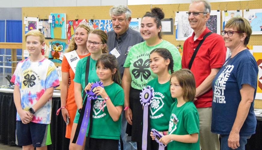 With ribbons and more, 4-H projects celebrated at the Dane County Fair ...
