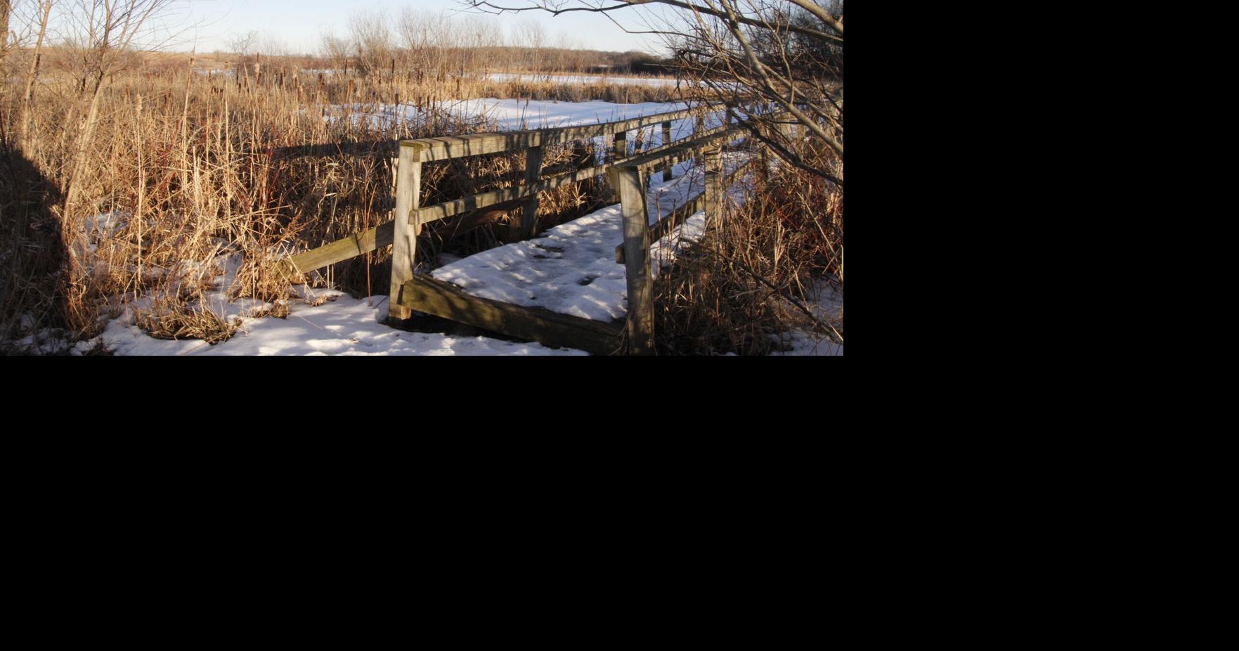 2 new Lake Ripley plans detail goals, long-term conservation efforts ...