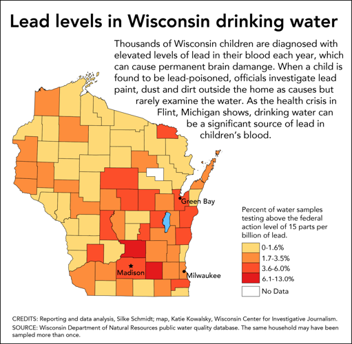 Professor: State must do more to protect residents from lead in ...