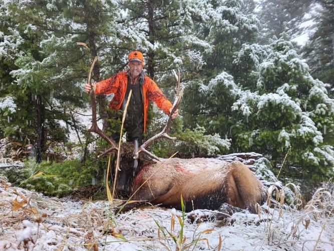 Montana Elk Hunt/The Bull | Sports | hngnews.com