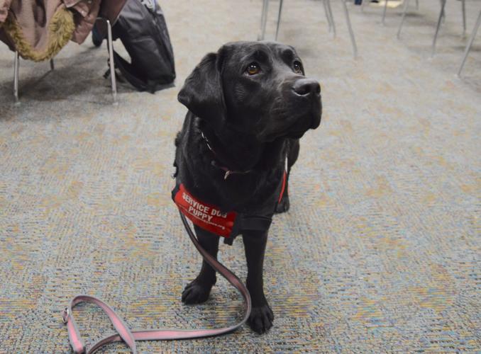 Service dog coming to Monona schools | News | hngnews.com