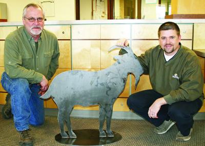 Artists sought for Waunakee goat display | Local | hngnews.com