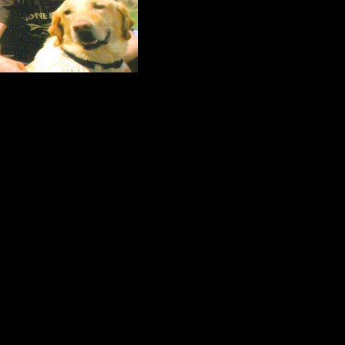 Obituary – DeForest, Daniel Raye Frosch – 1954 – 2013 | Obituaries ...