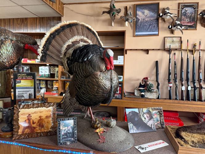 Tom's Guns selling after over 50 years in Marshall | Local News ...