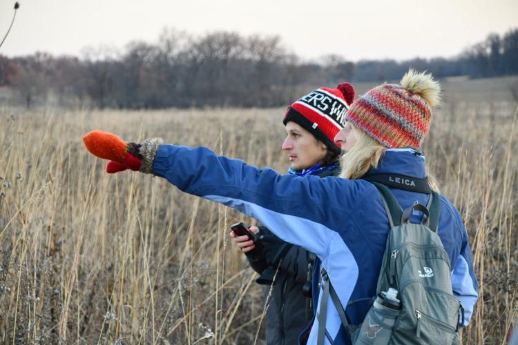 Annual Christmas Bird Count provides 'snapshot in time' of local bird ...