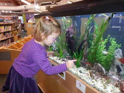 ‘Extreme Tank-Over’ at the Monona Library | Local | hngnews.com