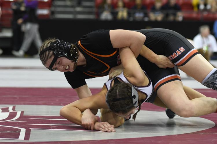Wrestling: Meister takes fifth at state | Sports | hngnews.com