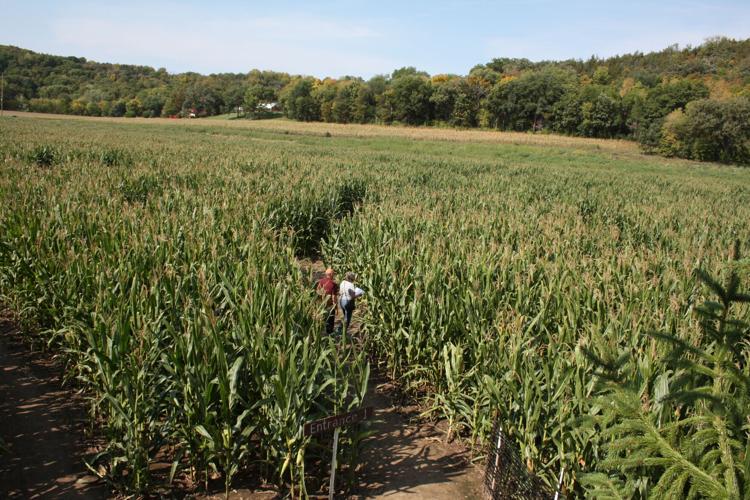 Treinen Farm celebrates autumn and "All the best dogs" | Business ...